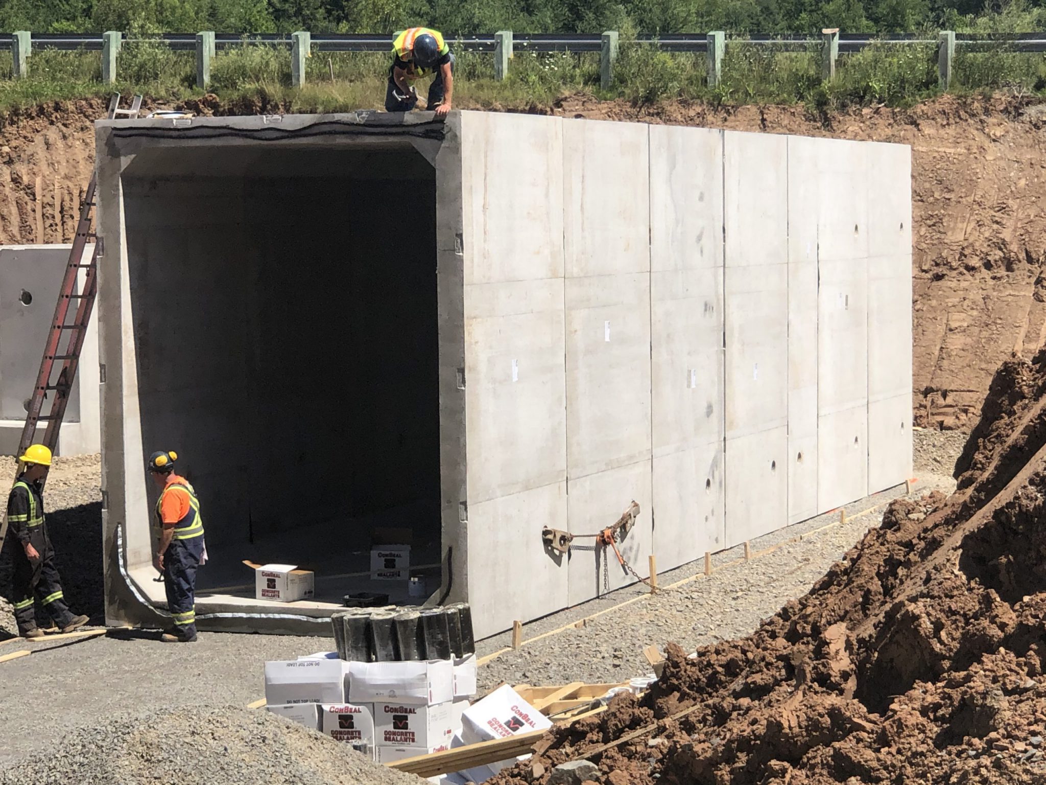 Divisions | Shaw Group Ltd