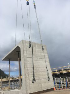 About | Shaw Group Ltd